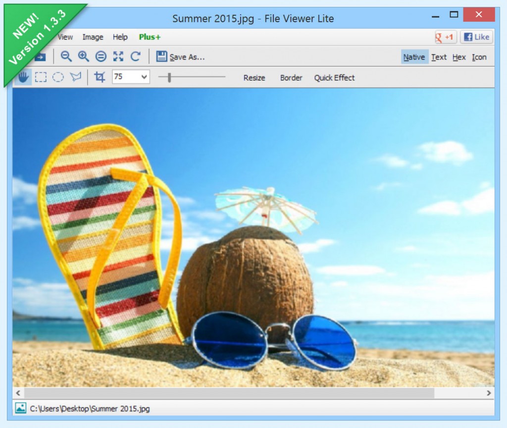 File Viewer Lite Free Download